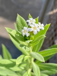 OPPORTUNITIES – WALKER LAB