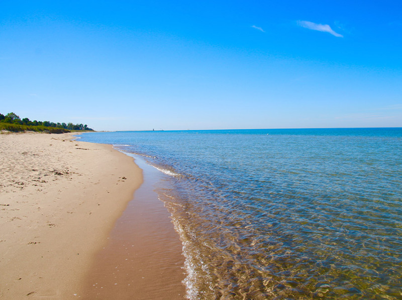 OPPORTUNITIES – WALKER LAB