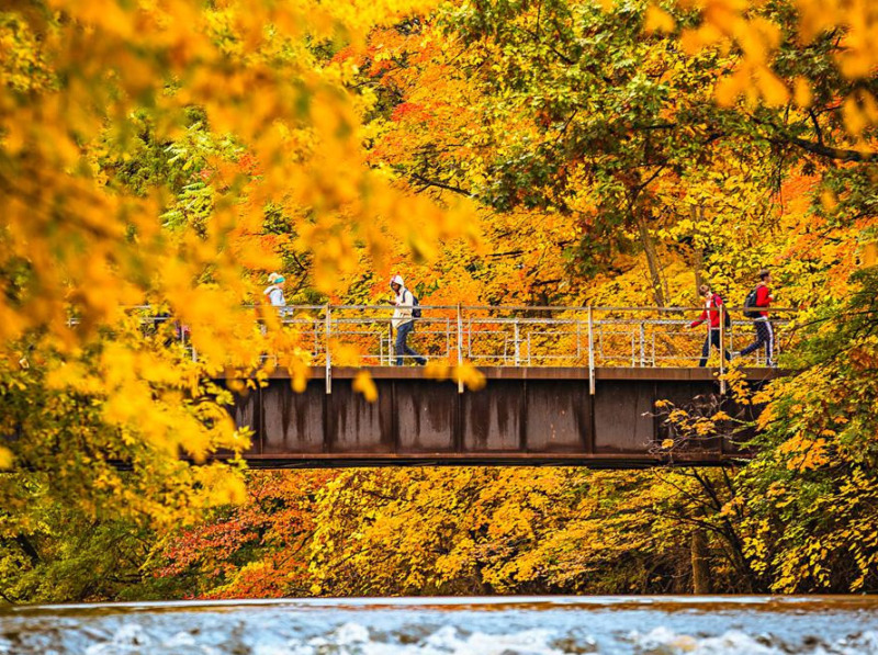 OPPORTUNITIES – WALKER LAB